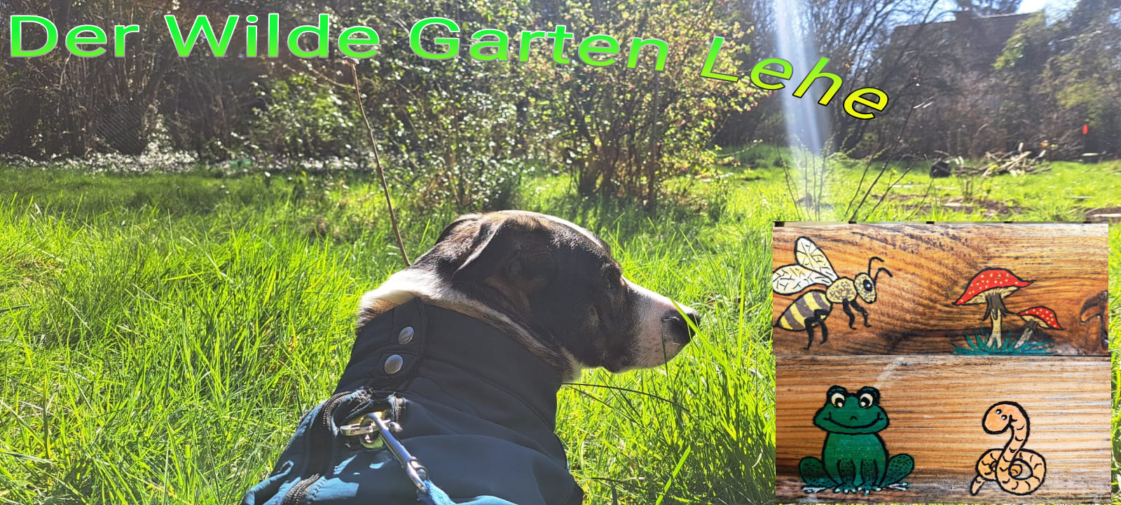 Der wilde Garten in Lehe - ilovelehe